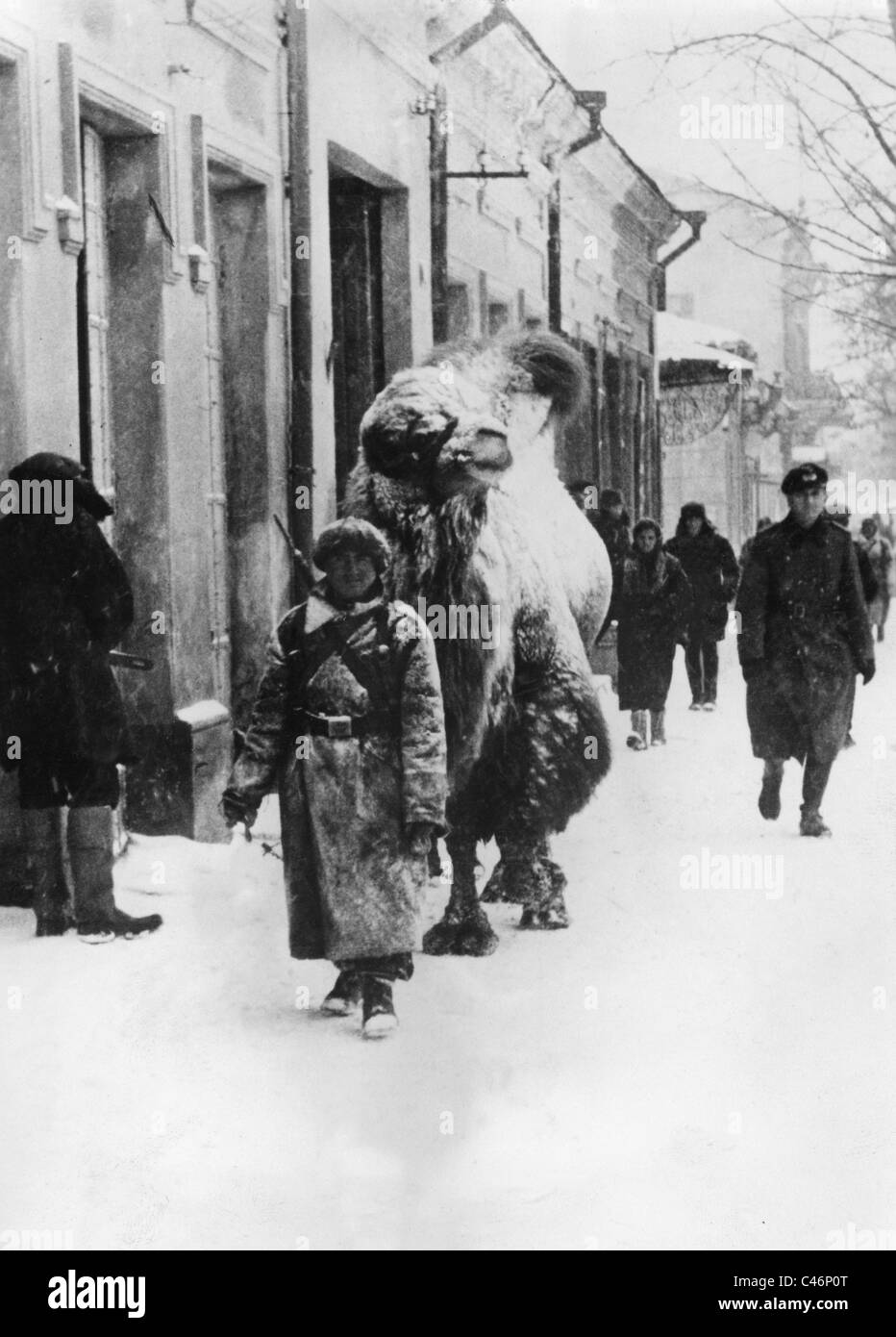 German wehrmacht crimea 1941 hi-res stock photography and images - Alamy