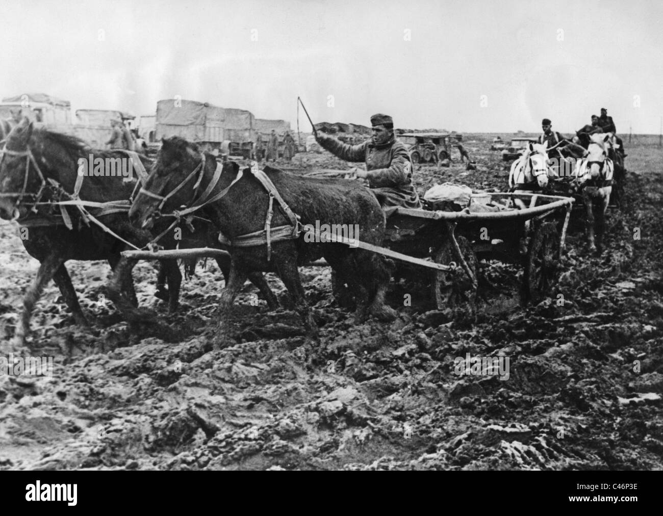 German wehrmacht crimea 1941 hi-res stock photography and images - Alamy