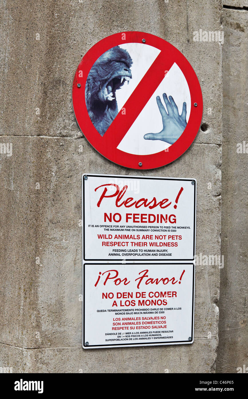 Warning sign - Please no feeding the apes Stock Photo - Alamy