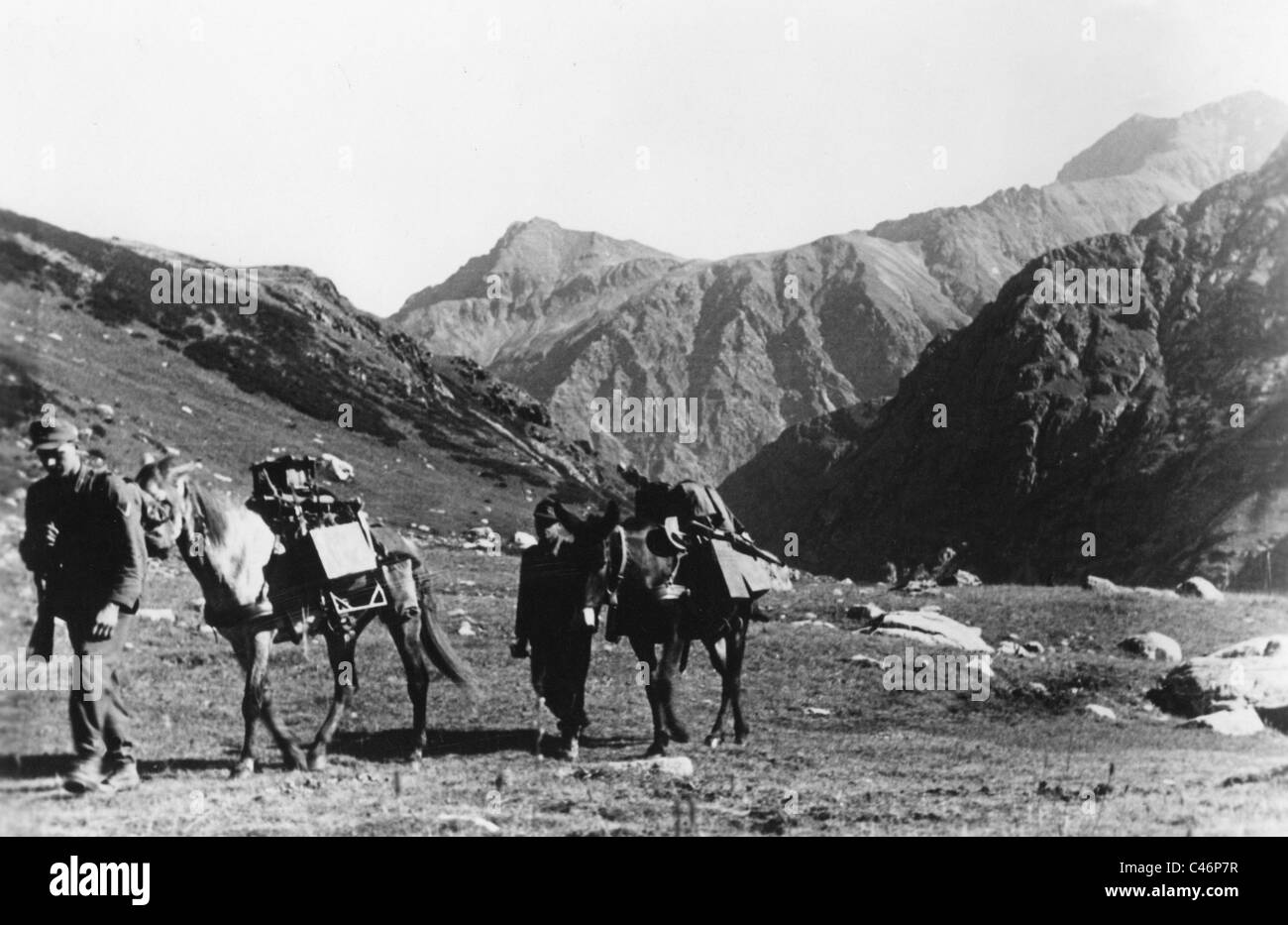 Second World War: Eastern Front. The German Wehrmacht in the Caucasus ...