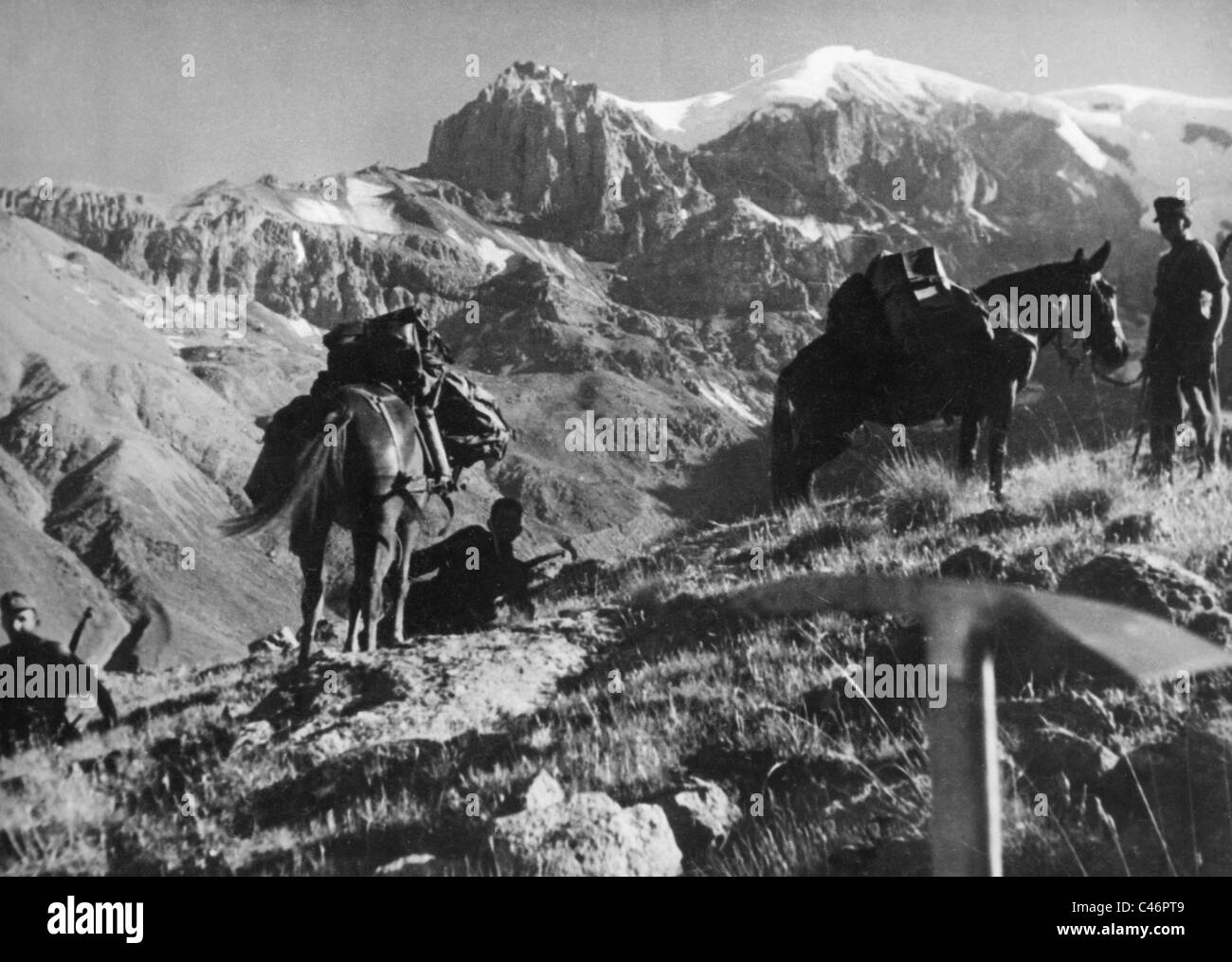 Second World War: German mountain infantry at Mount Elbrus, 1942 - 1943 ...