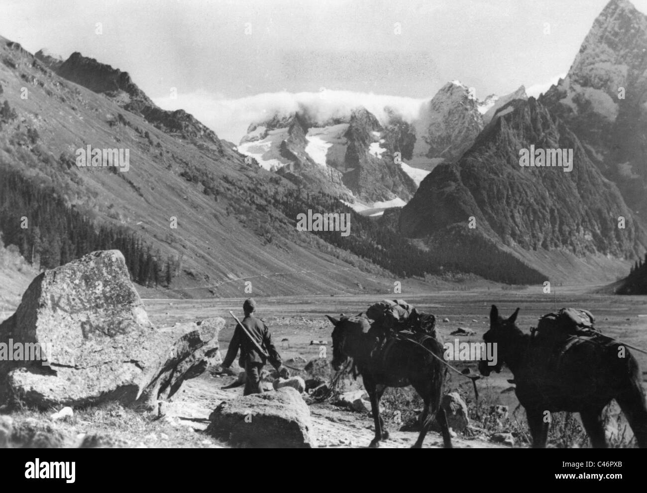 Second World War: German mountain infantry at Mount Elbrus, 1942 - 1943 ...