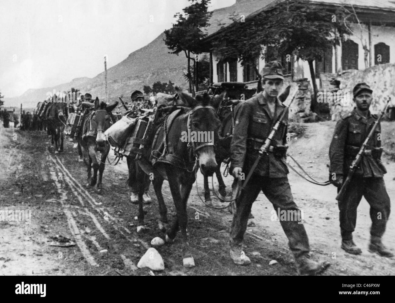 Second World War: Kuban River Front, 1942 - 1943 Stock Photo - Alamy