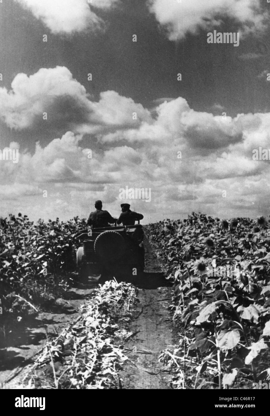 Eastern front german soldiers operating in kuban river area hi-res ...