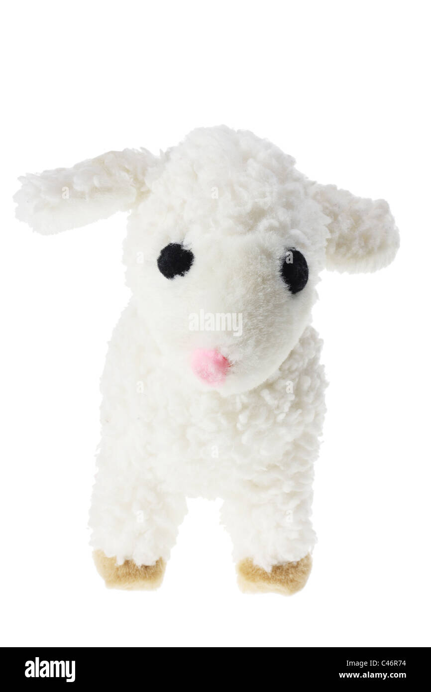Cute lamb cutout hi-res stock photography and images - Alamy