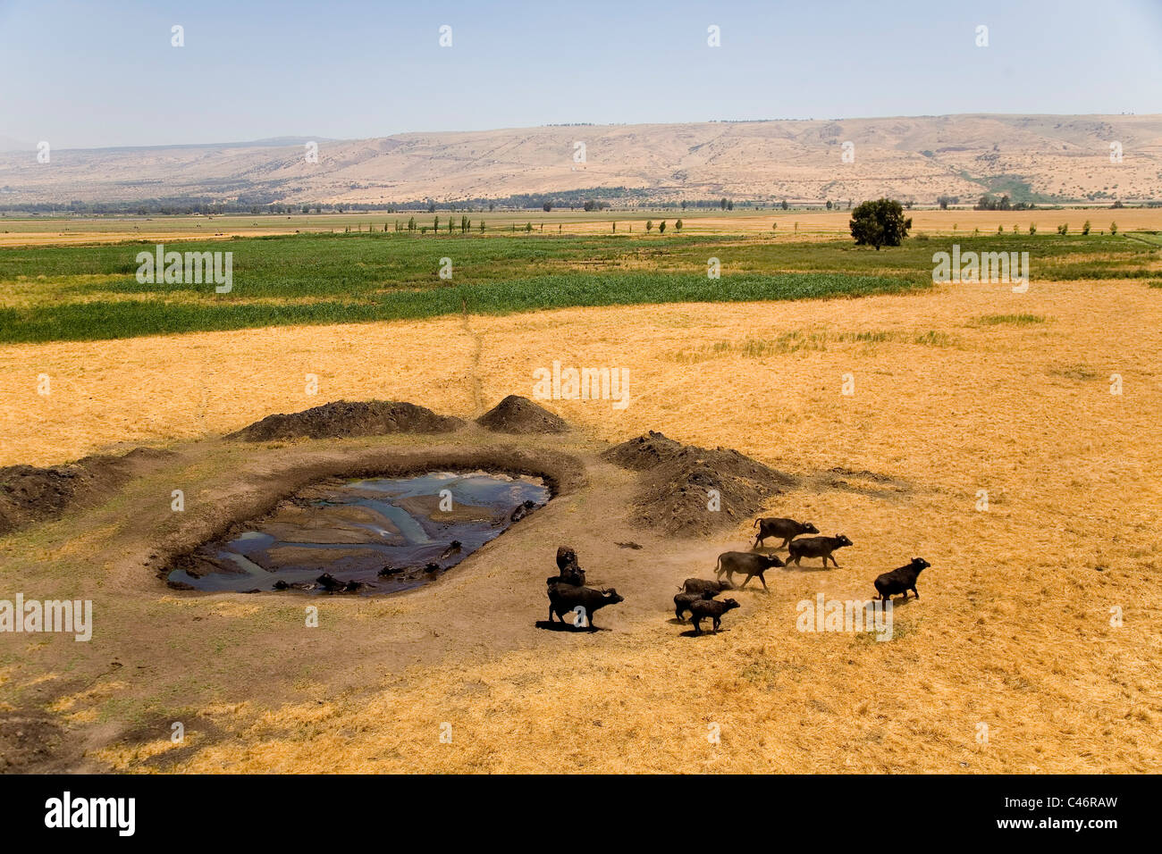 Aerial photograph of the Hachula reservation in the Upper Galilee Stock ...