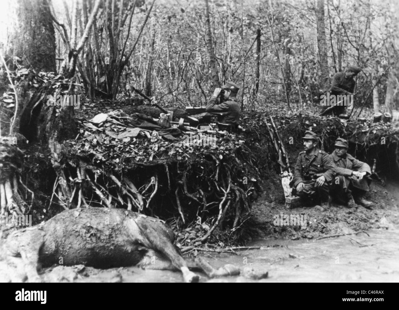 Wwii battle of caucasus soviet hi-res stock photography and images - Alamy