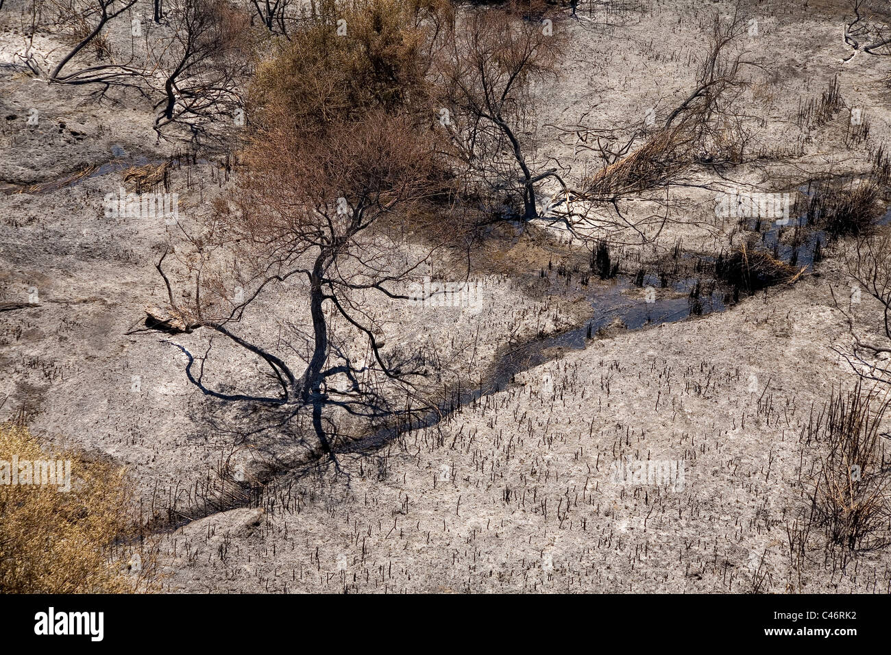 Aerial photograph of the Banias reservation in the Upper Galilee after ...