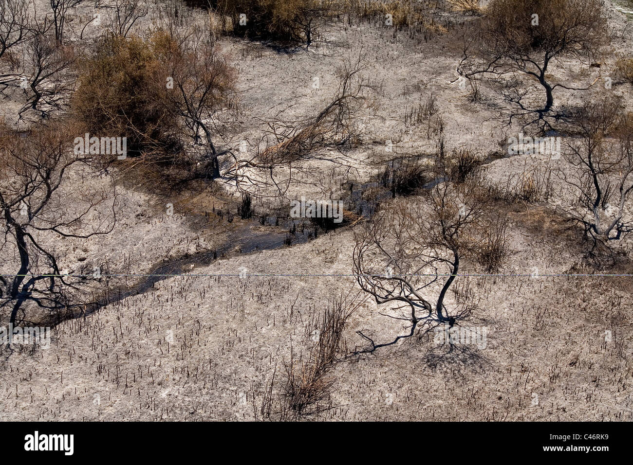 Aerial photograph of the Banias reservation in the Upper Galilee after ...