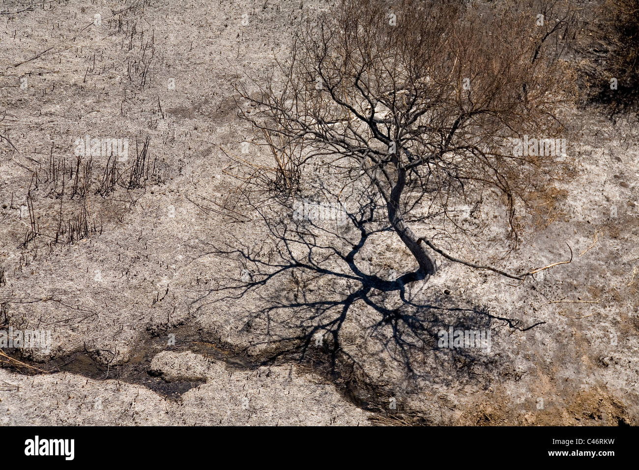 Aerial photograph of the Banias reservation in the Upper Galilee after ...