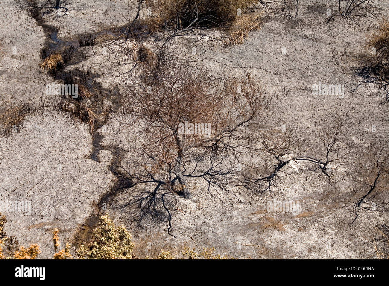 Aerial view after fire hi-res stock photography and images - Alamy