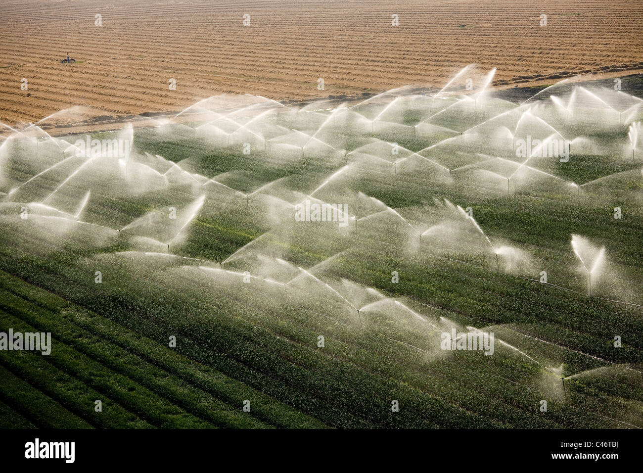 Aerial photograph of sprinklers watering a green field in the Jezreel ...