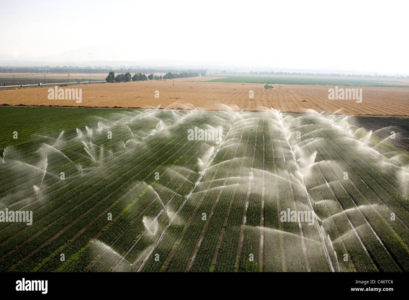 Aerial photograph of sprinklers watering a green field in the Jezreel ...