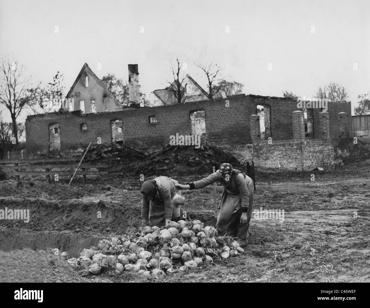 Second World War: Poland under German occupation, 1939 - 1944 Stock ...