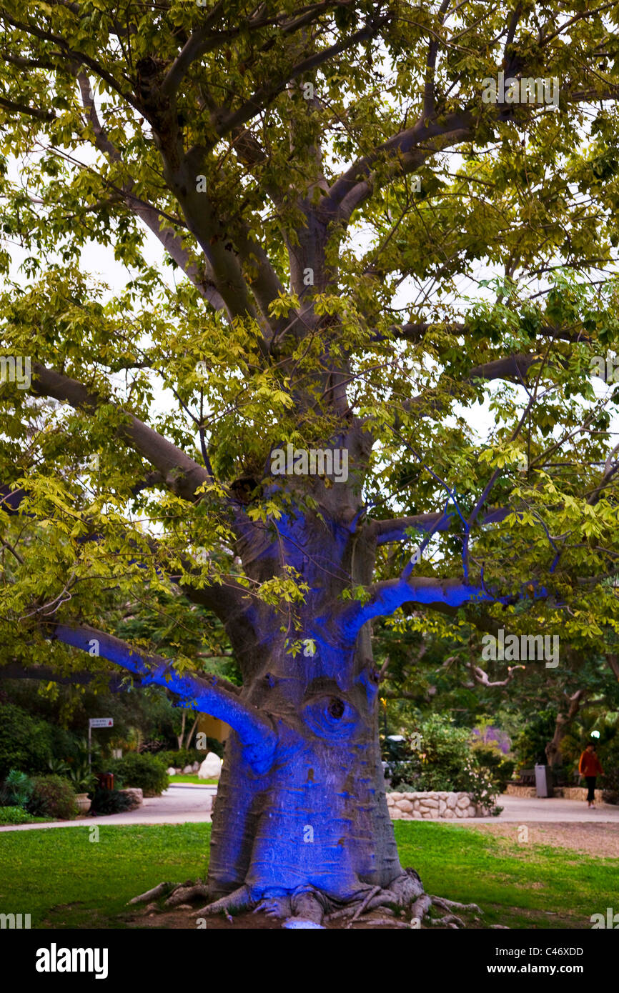 Abstract view of a tree with blue light upon it Stock Photo - Alamy