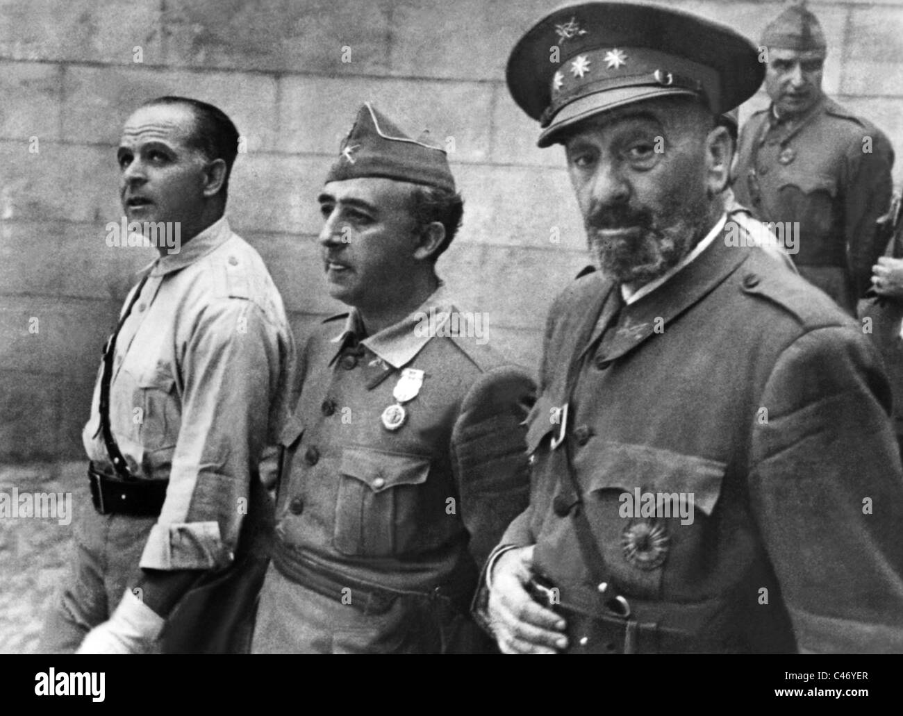 Moscardo High Resolution Stock Photography and Images - Alamy