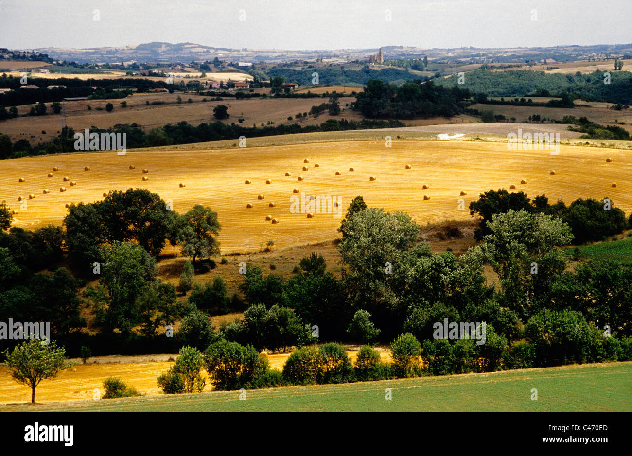 Freshly baled summer hay in field in the Dordogne Valley north of Albi ...