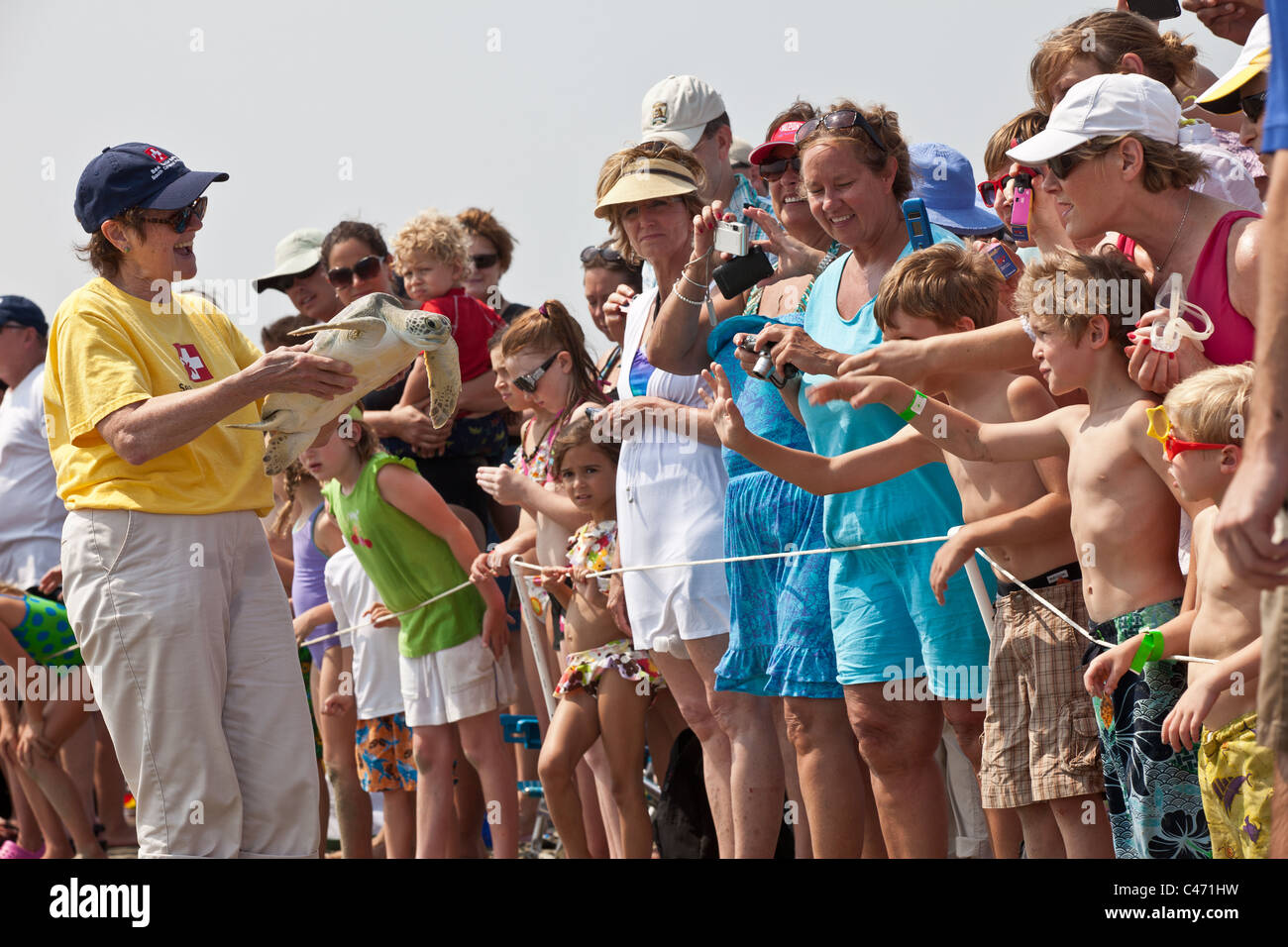 Children view a rescued juvenile green sea turtle before it's release ...
