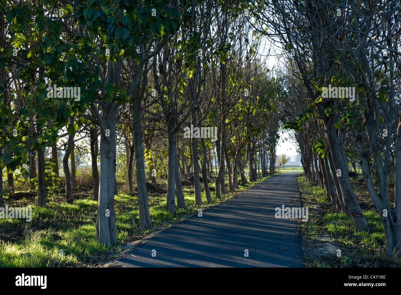Photograph of the landscape of the Chula valley Stock Photo - Alamy
