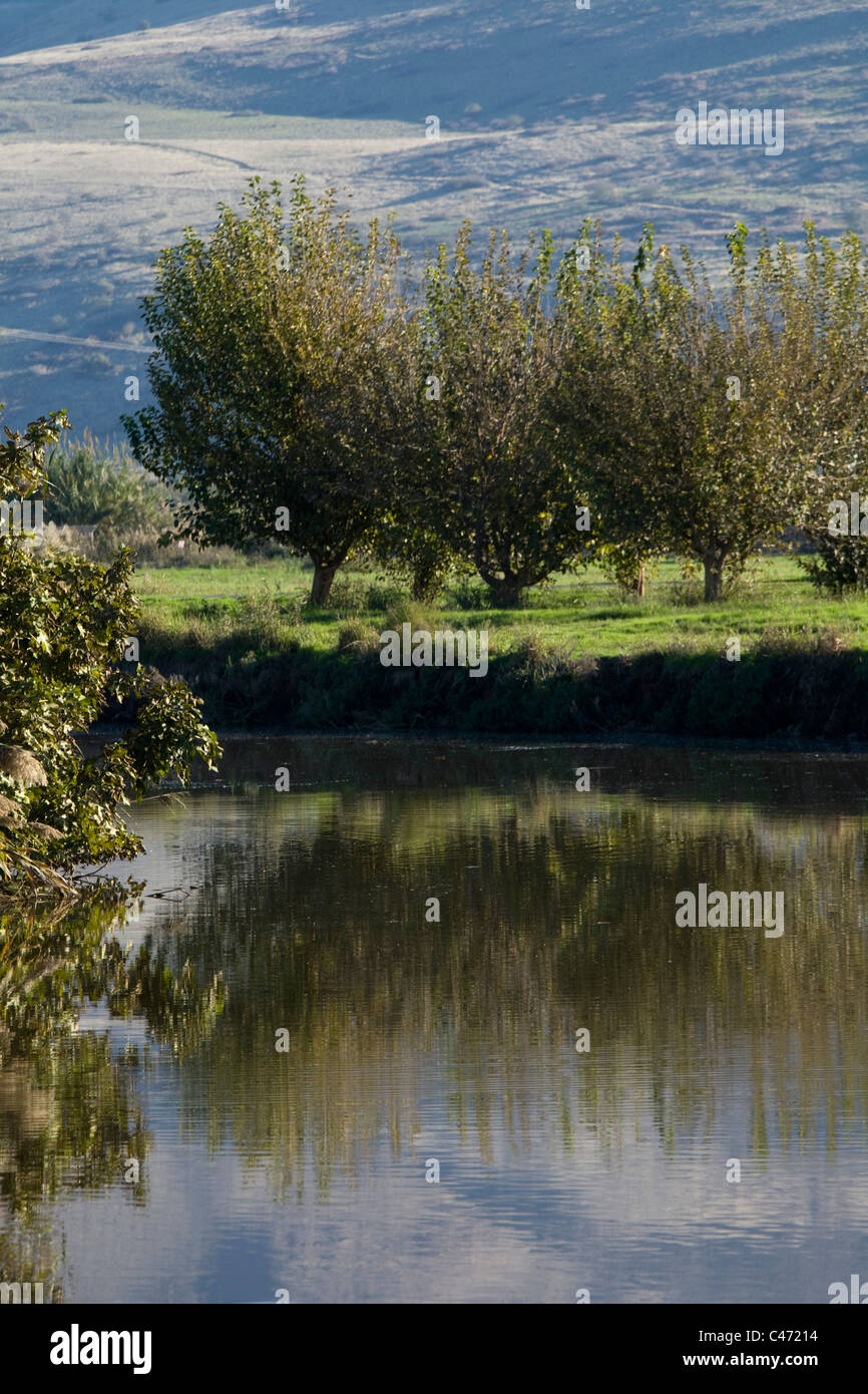 Photograph of the landscape of the Upper Galilee Stock Photo - Alamy