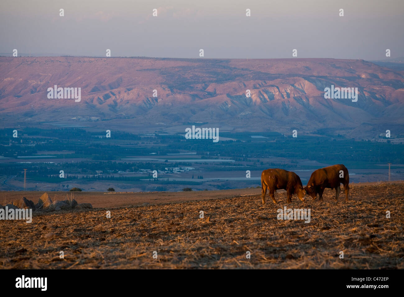 Photograph of the lower Galilee at dawn Stock Photo - Alamy