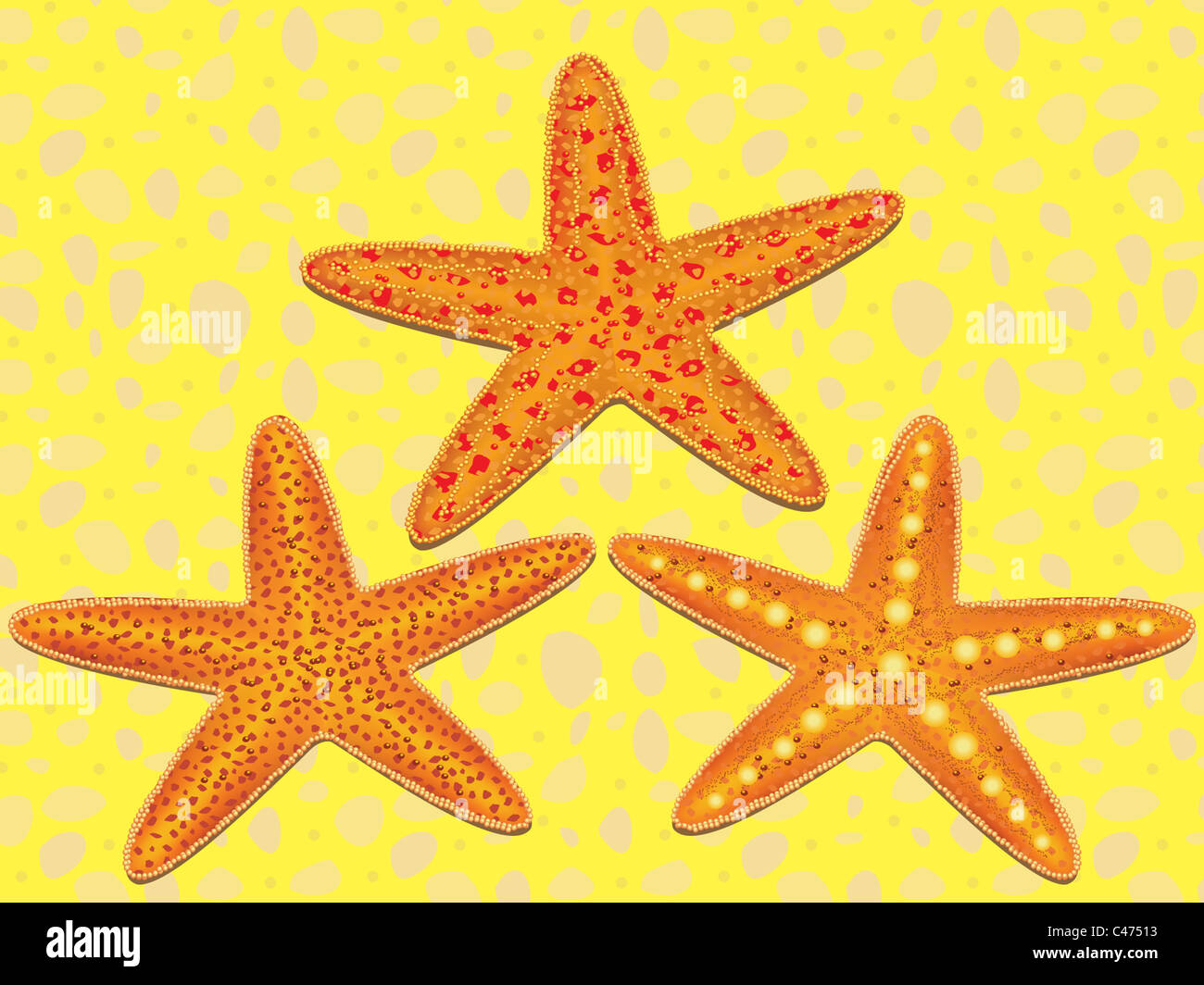 Three starfish arranged on beach created as a seamless repeatable ...