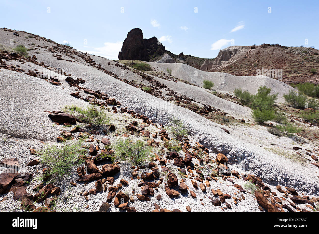 Weathered rock formation in the Chihuahuan desert Big Bend National ...