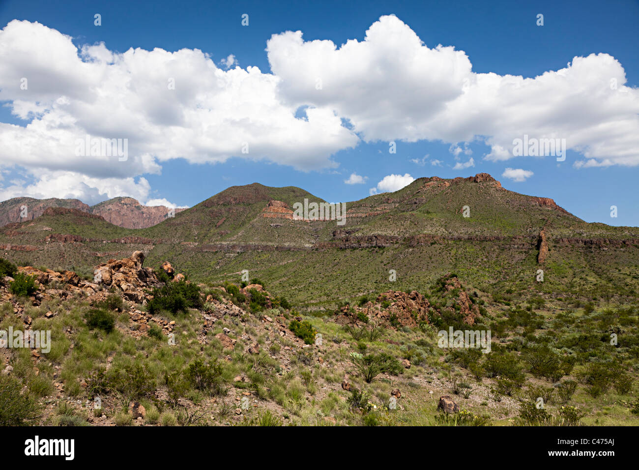 Chihuahuan desert Big Bend National Park Texas USA Stock Photo - Alamy