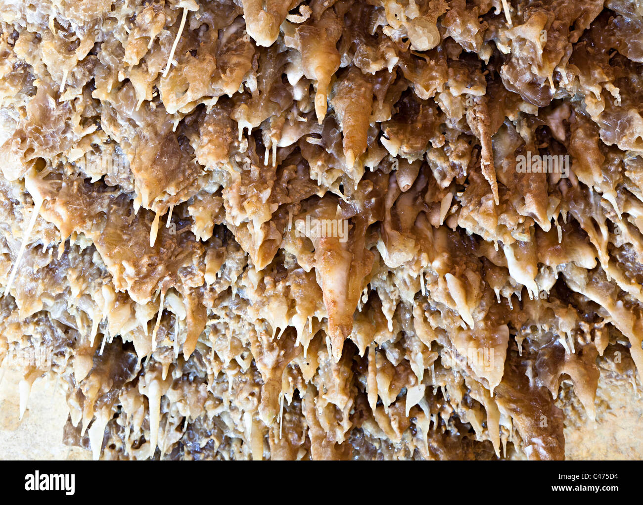 Stalactites in cave hi-res stock photography and images - Alamy
