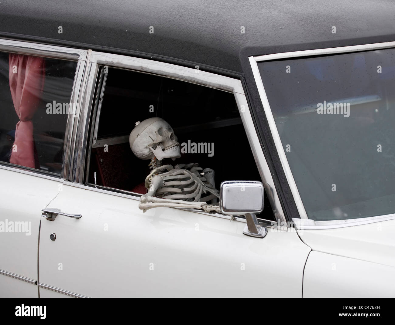a skeleton rides as a passenger in a hearse during a parade at the ...