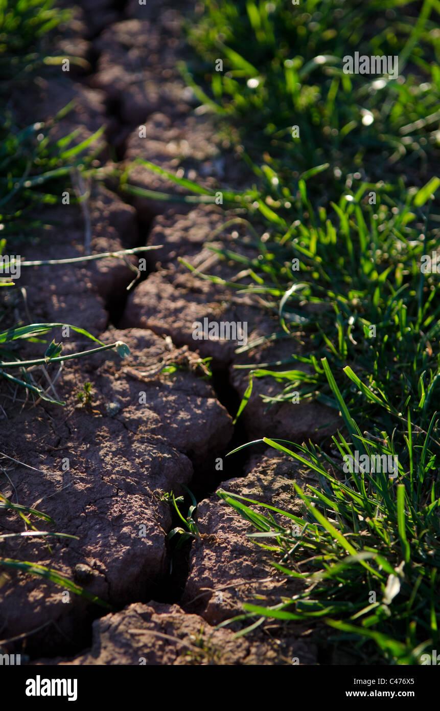 A crack in the ground due to the dry weather Stock Photo - Alamy