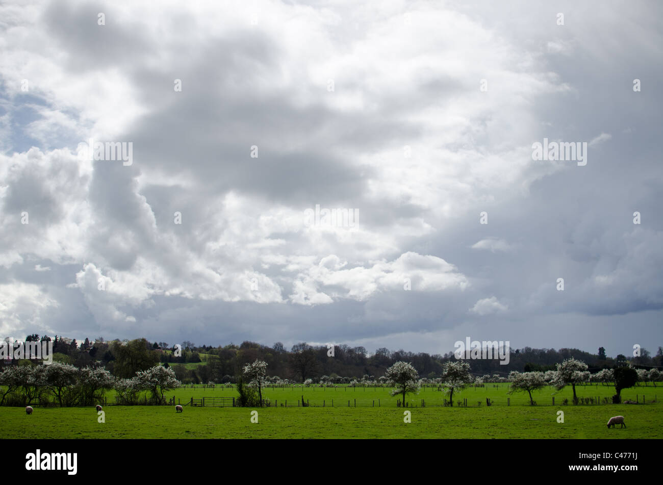 Tenbury Wells Countryside High Resolution Stock Photography and Images ...