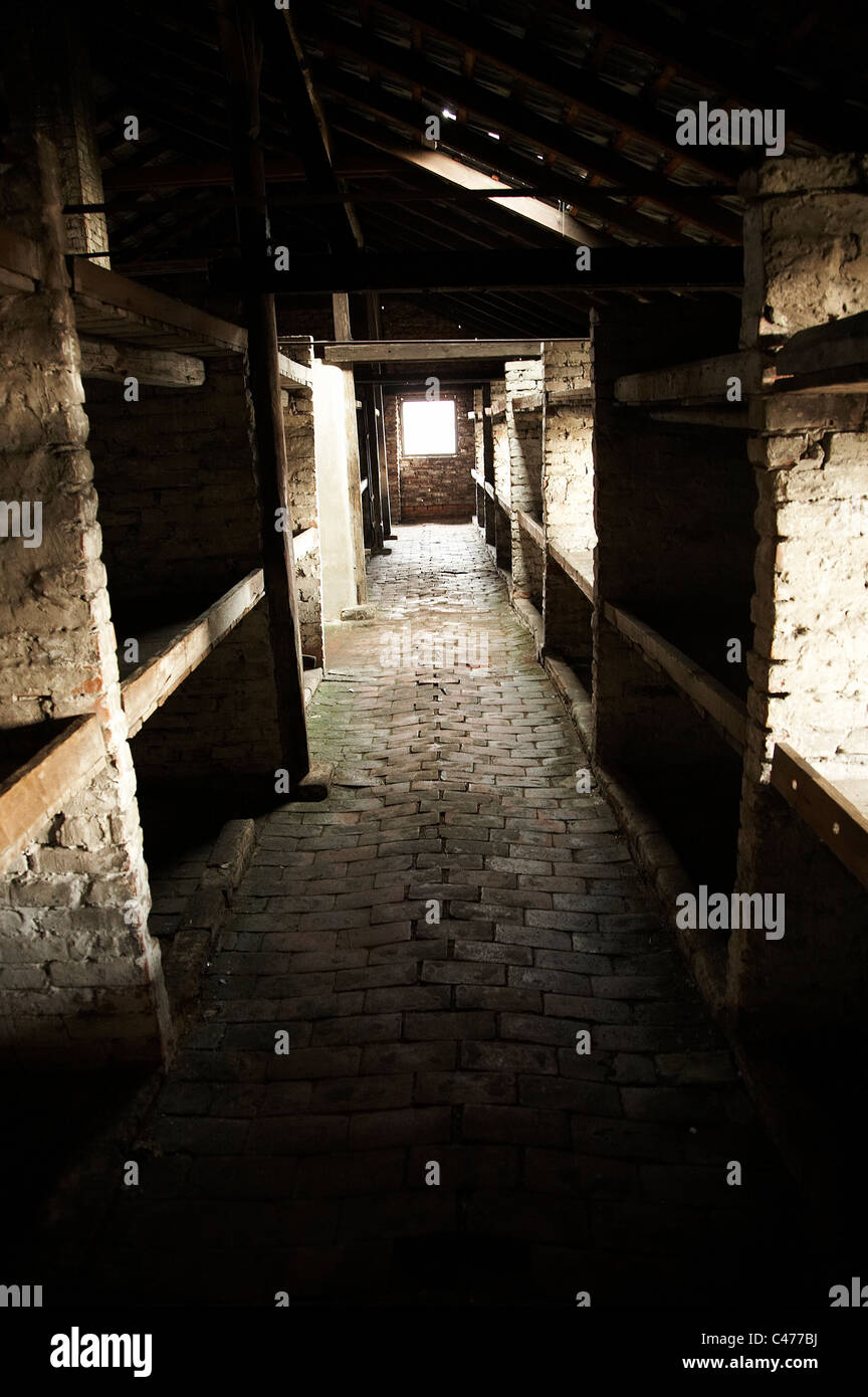Inside prisoner barracks at Auschwitz-Birkenau Stock Photo - Alamy