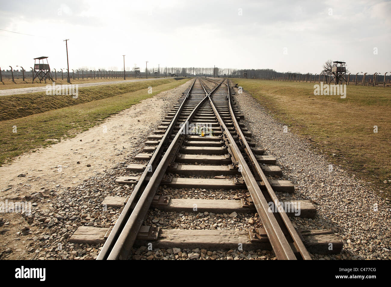 Auschwitz train tracks hi-res stock photography and images - Alamy