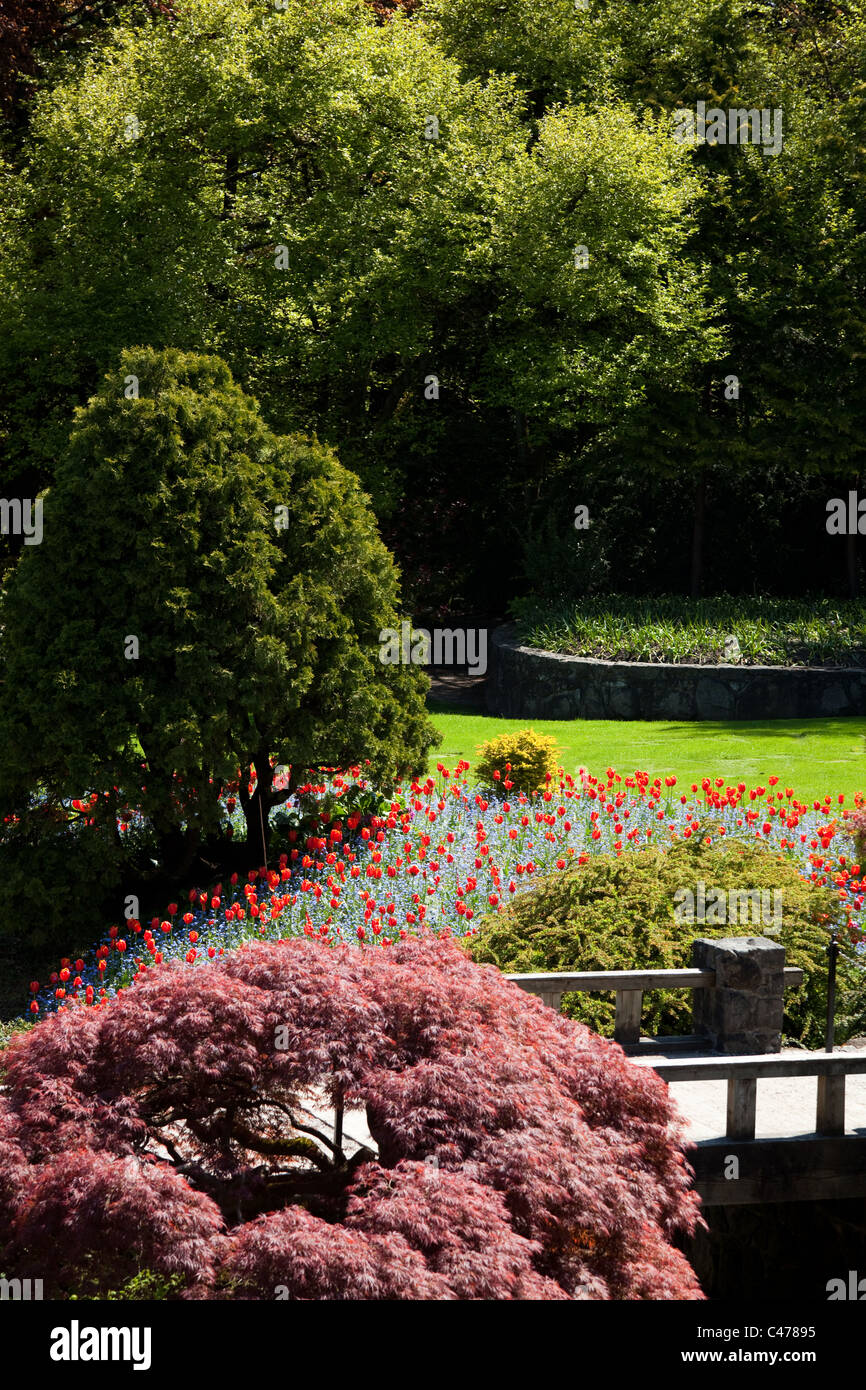 Spring Flower Garden for background Stock Photo - Alamy