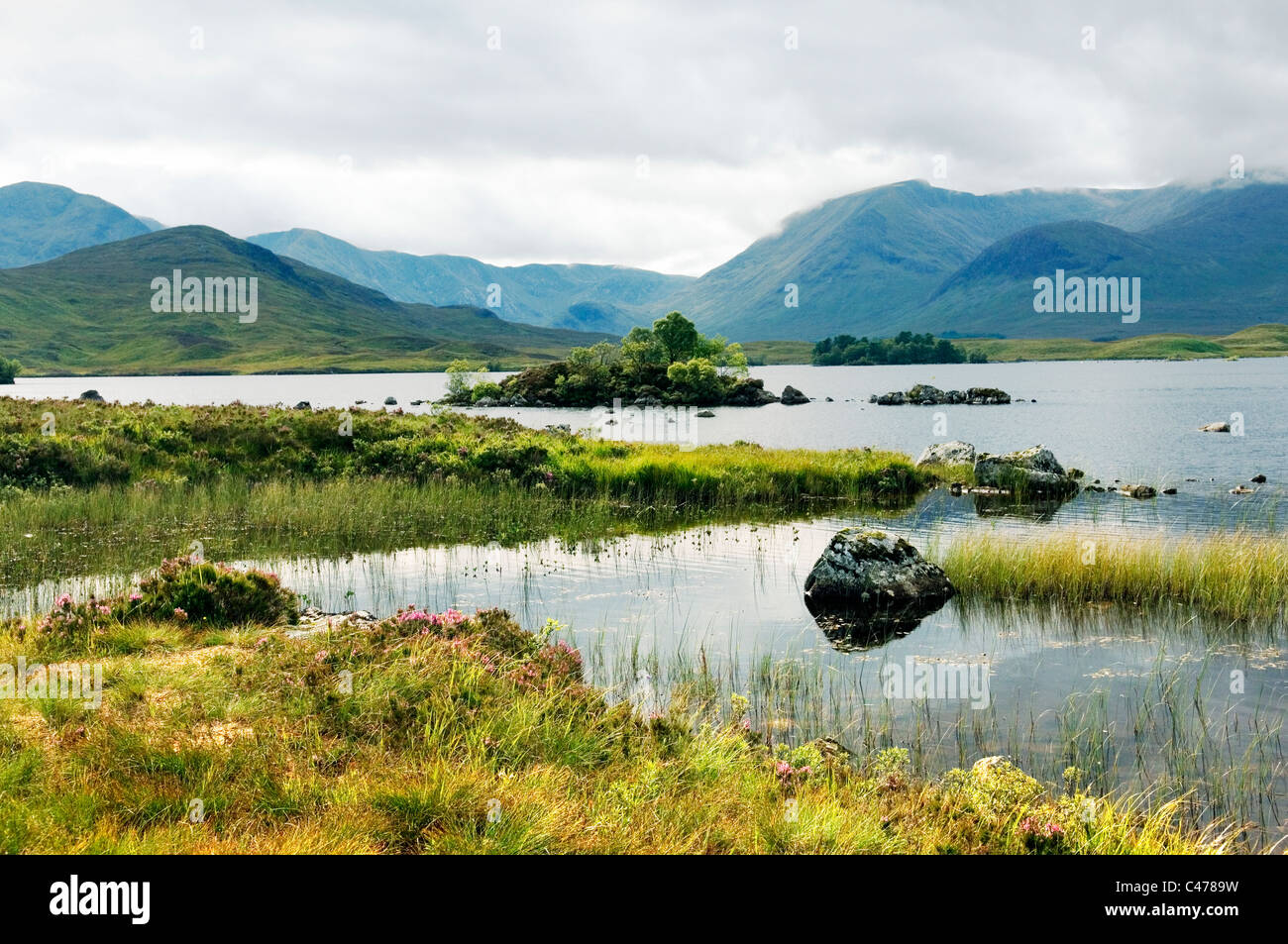 Black mount west highland hi-res stock photography and images - Alamy