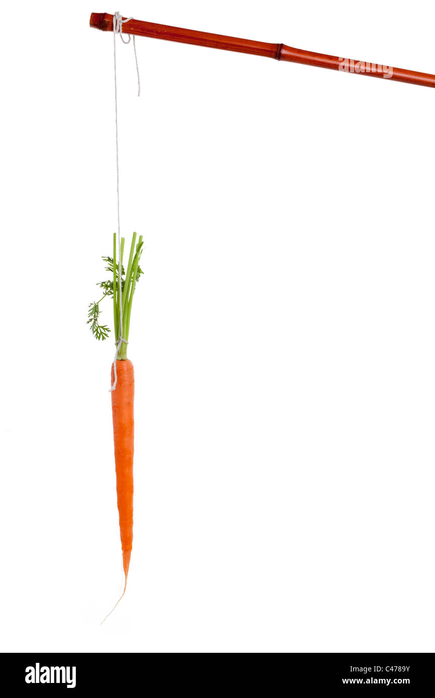 Carrot and stick hi-res stock photography and images - Alamy