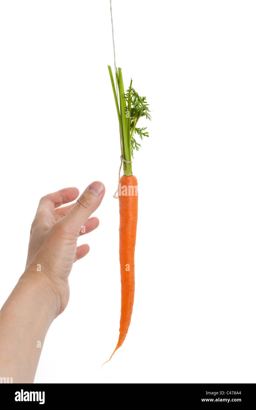 Dangling carrot with white background Stock Photo - Alamy