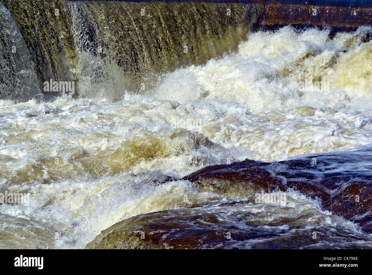 Eddie rocks hi-res stock photography and images - Alamy
