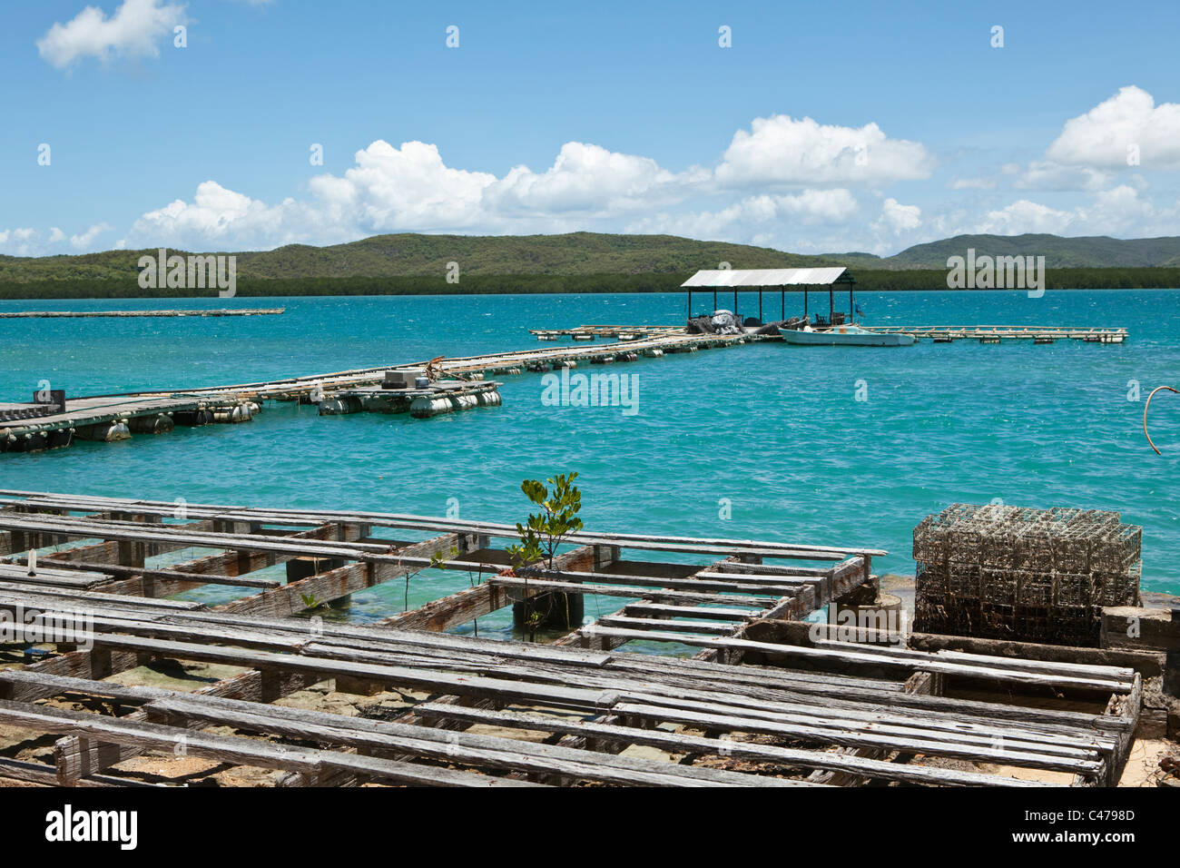 Jetty at Kazu Pearls. Friday Island, Torres Strait Islands, Queensland ...
