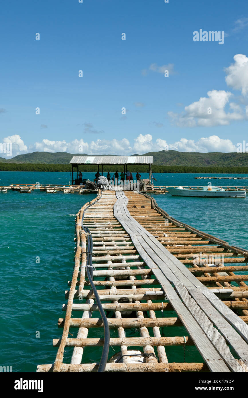 Friday Island Australia High Resolution Stock Photography and Images ...