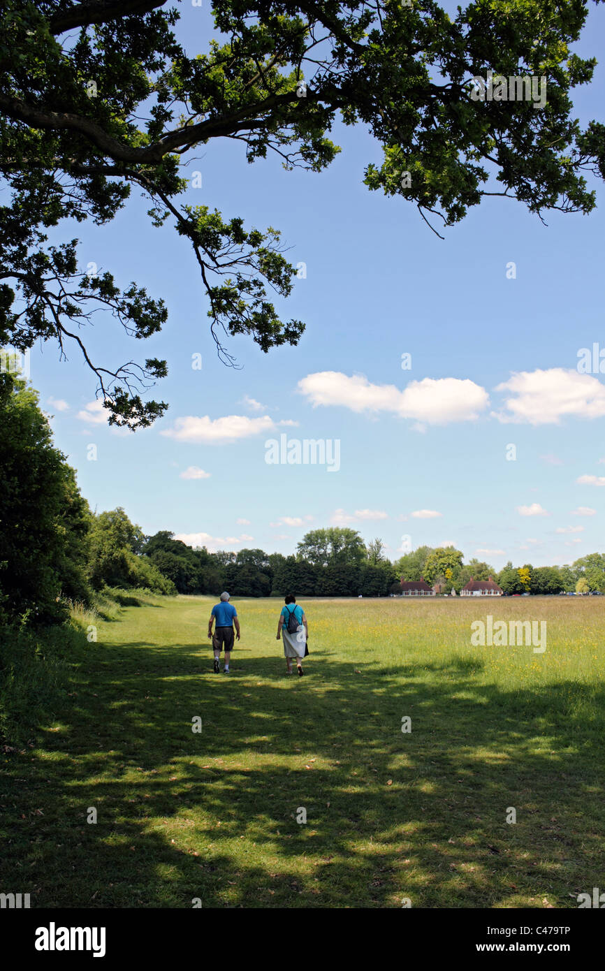 Runnymede the site of the sealing of Magna Carta by King John in 1215 ...
