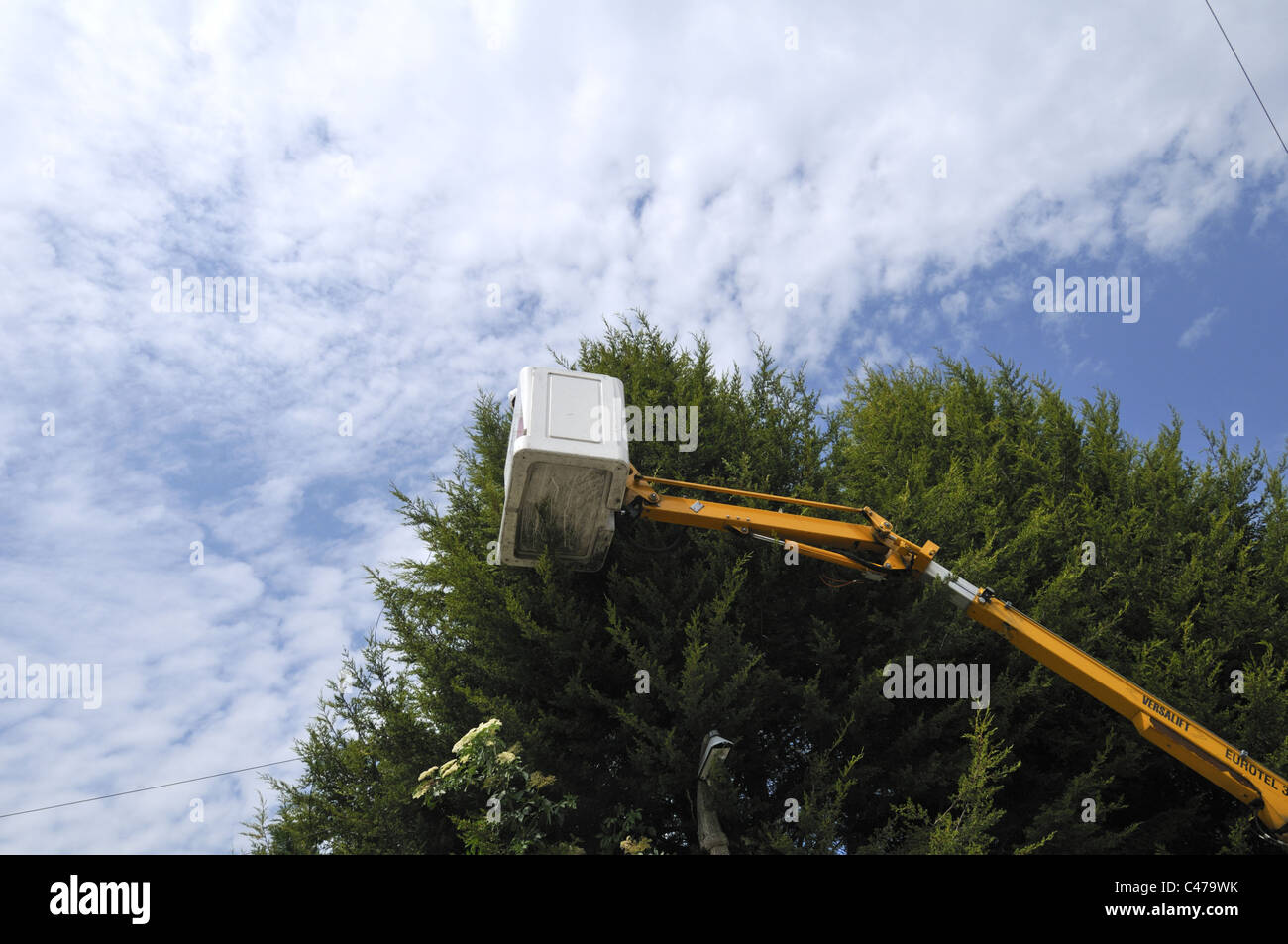 BT engineer replacing tree damaged telephone cable using a mobile hoist ...