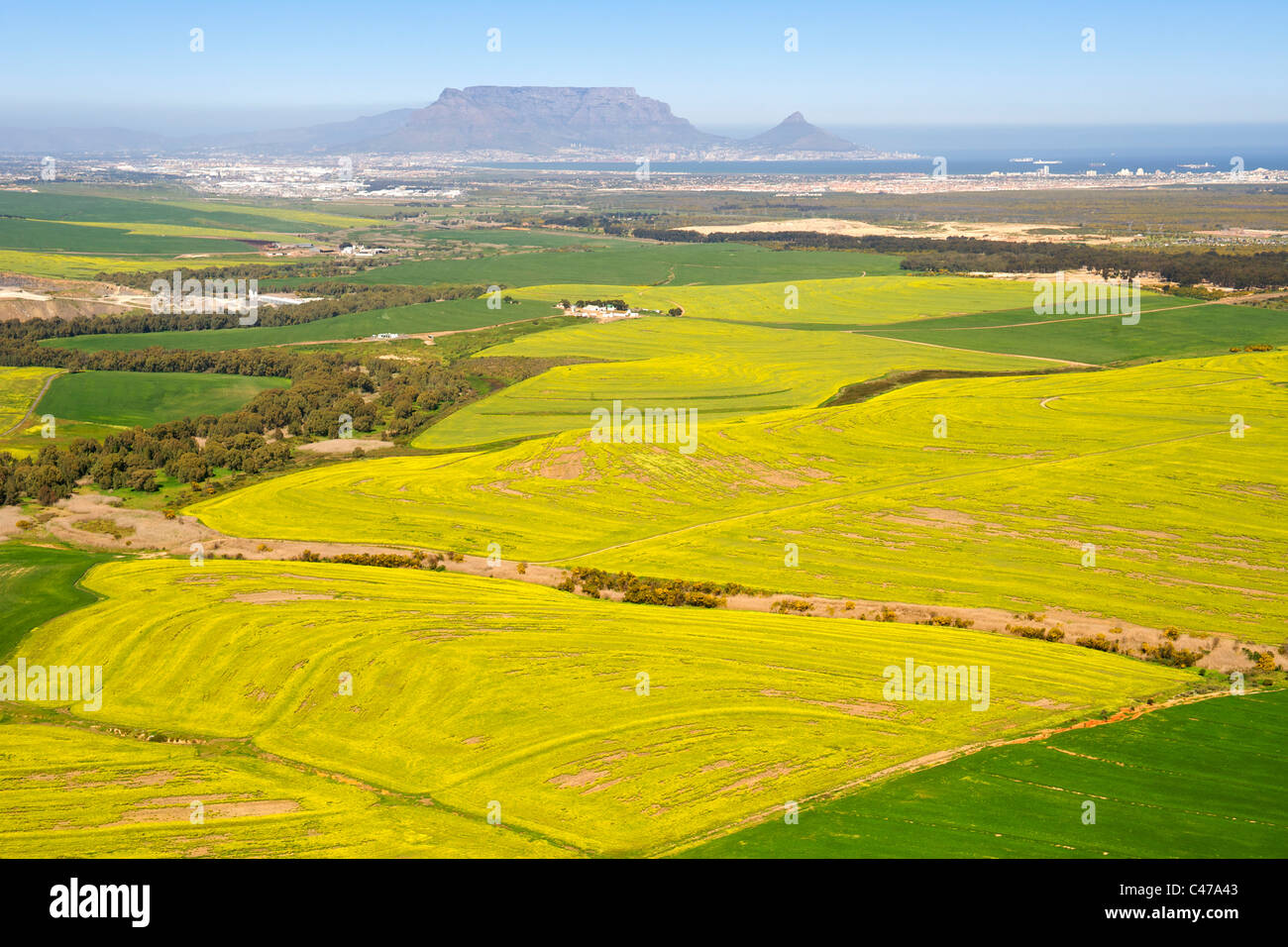 Aerial view over canola and other agricultural fields in the ...