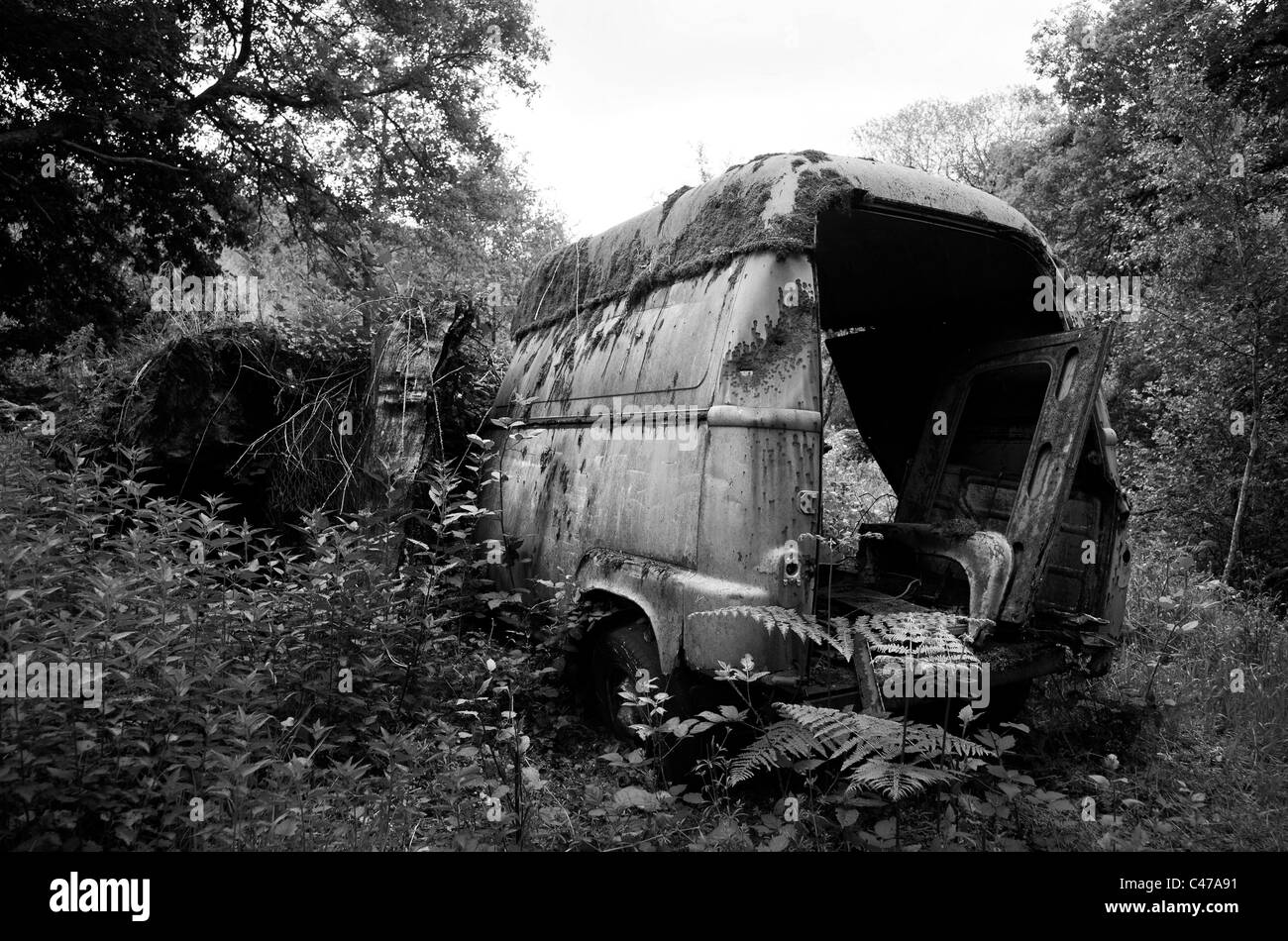 Abandoned van hi-res stock photography and images - Alamy
