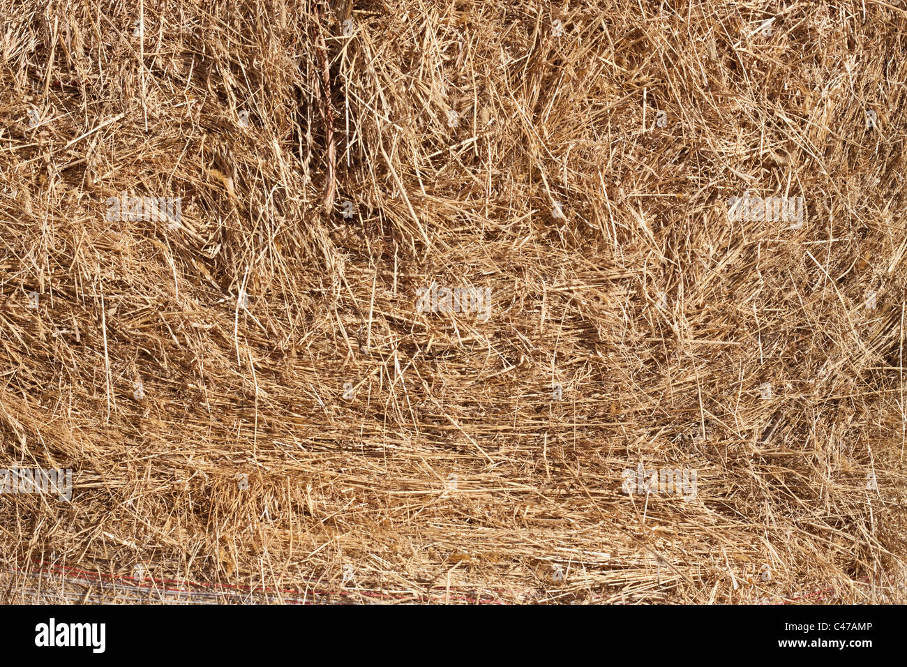 Detail of straw round bale, straw textured background Stock Photo - Alamy