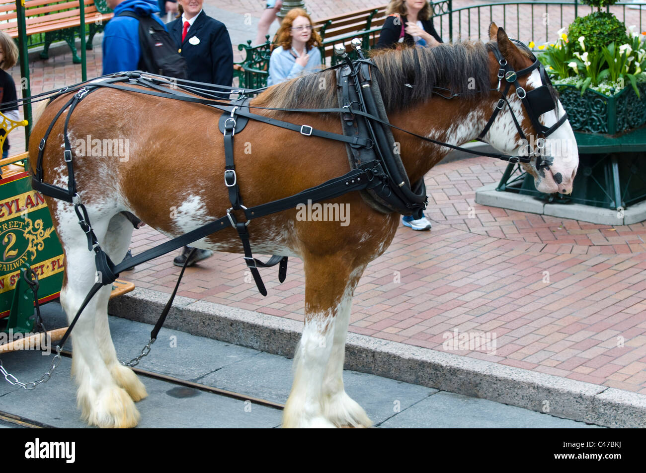 Horse ride hi-res stock photography and images - Alamy