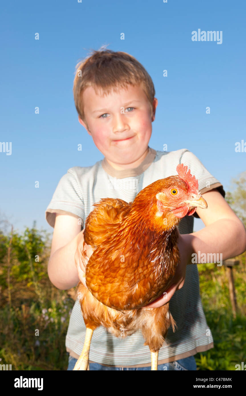 Seven Chickens High Resolution Stock Photography and Images - Alamy