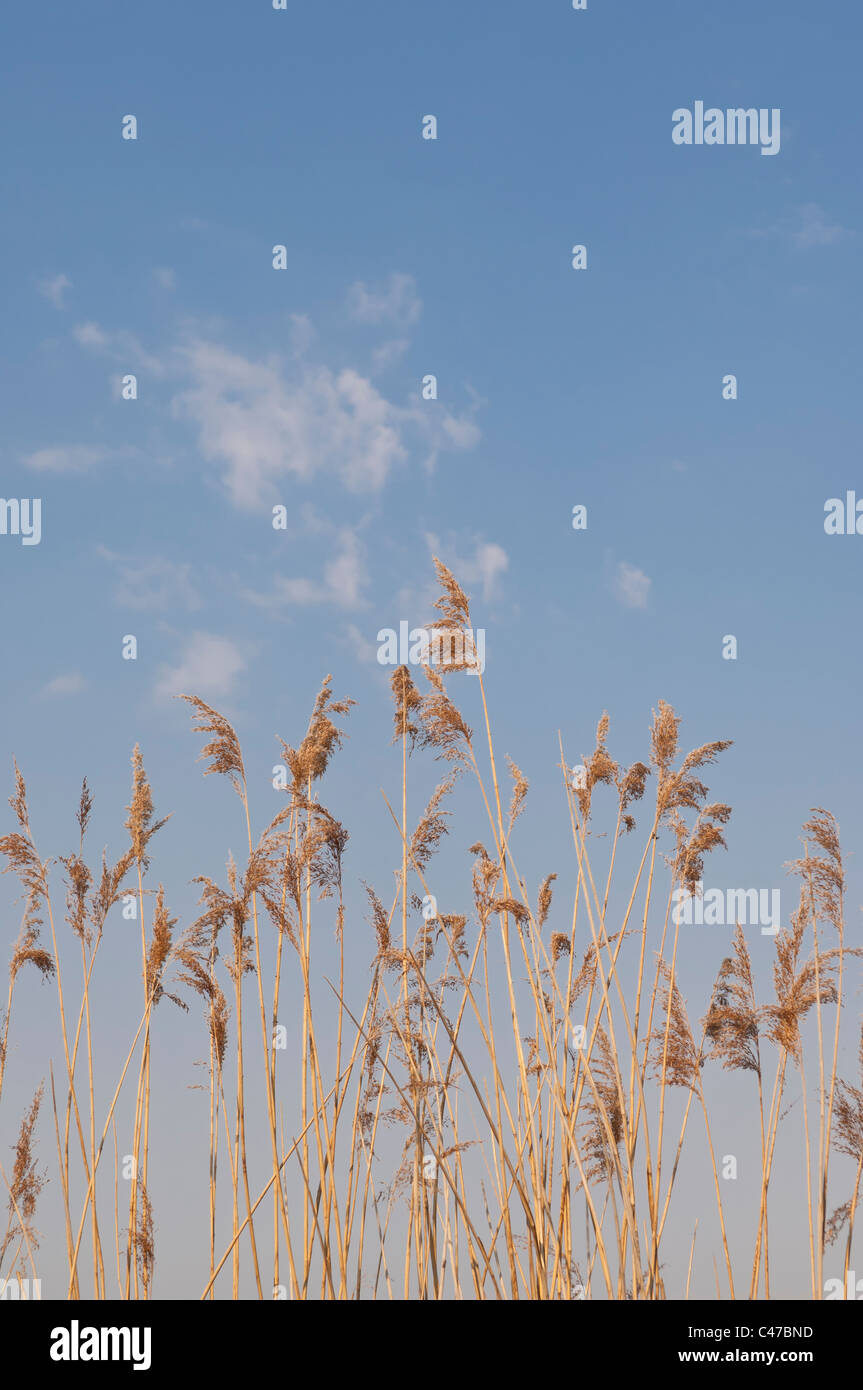 English british great britain blue sky skies hi-res stock photography ...