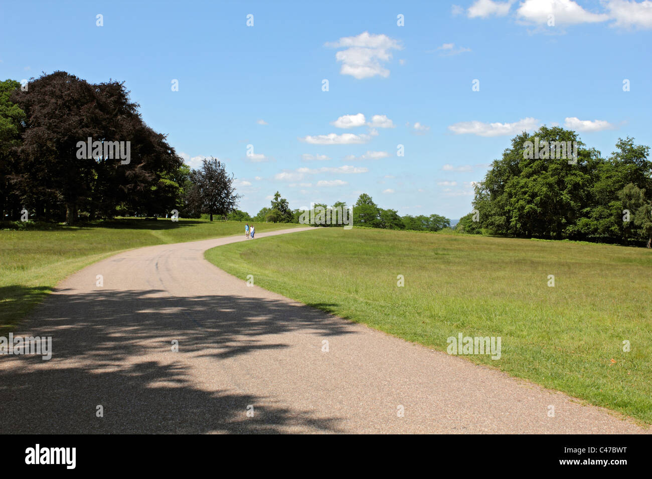 Track through Windsor Great Park at Snow Hill, Berkshire, England, UK ...